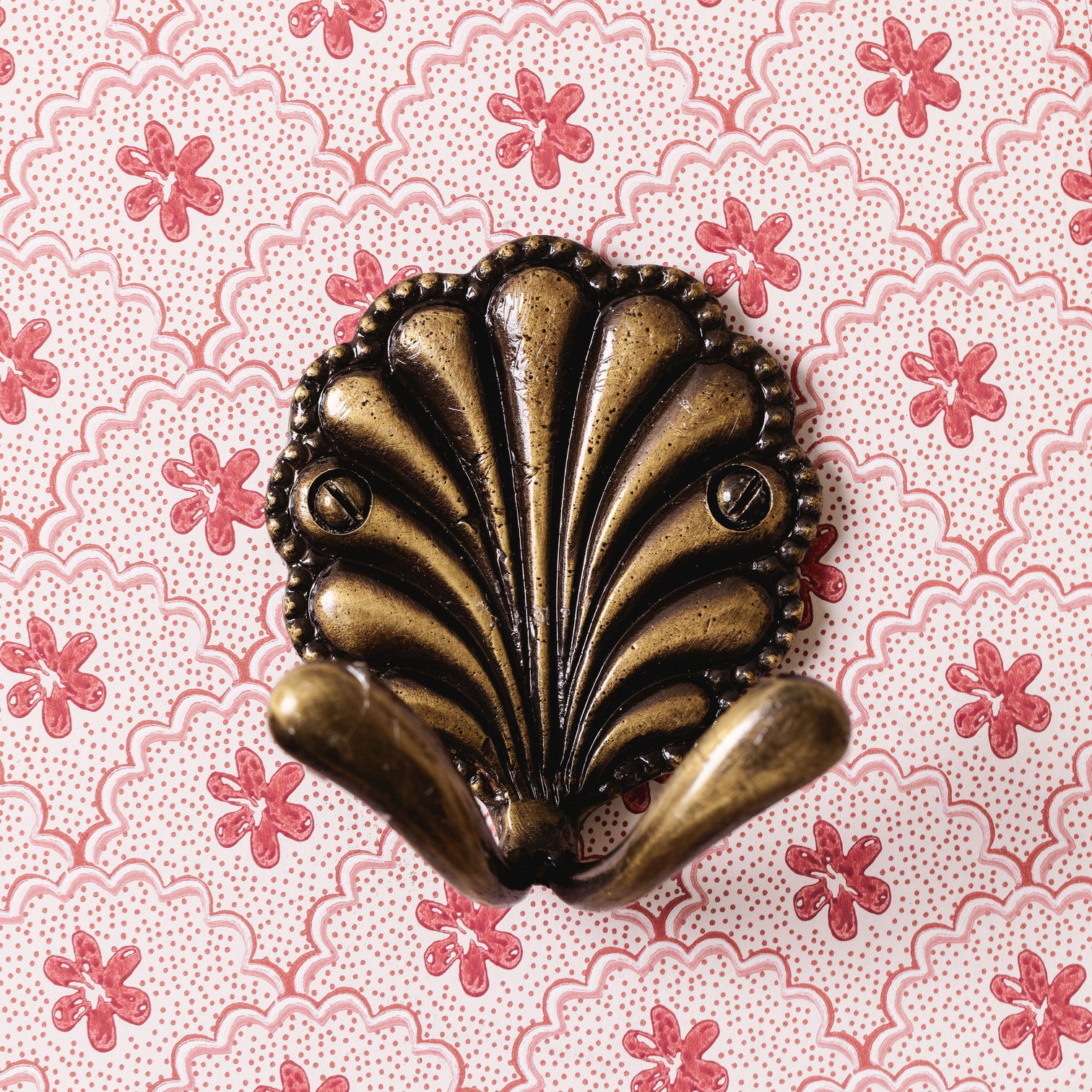 Shell Wall Hook (Double) | Brass Wall Hooks | Hastshilp.co.uk – hastshilp